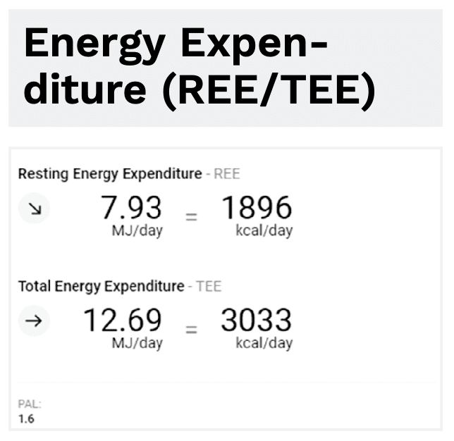 Understanding Your Body Composition Analysis Results - Florida Aesthetics